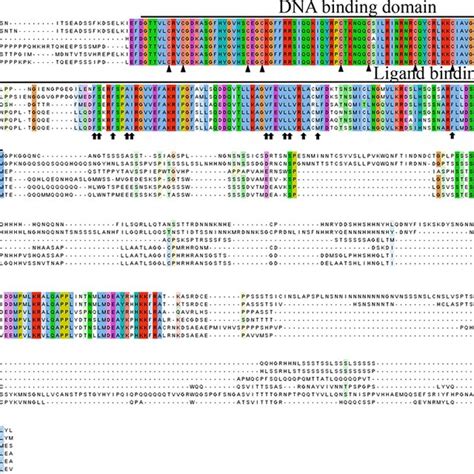 Amino Acid Sequence Alignment Of E75 Of Tetranychus Urticae With Its