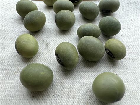 환경까지 생각하는 청년 토종 덕후의 토종 콩 4종 더 테이스트 에디트 더테이스트 청양