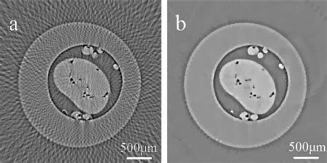 Reconstructed Slices Of The Ant Sample Using A The Fbp Algorithm And