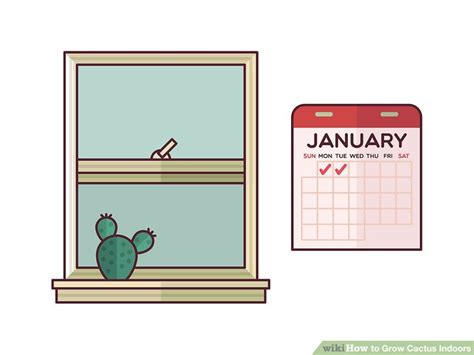 How To Grow Cactus Indoors With Pictures Wikihow