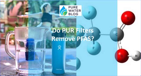Water Filter To Remove Pfas Uk At Nicholas Rinehart Blog