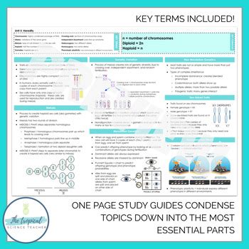 AP Biology Review Unit 5 By The Tropical Science Teacher TPT