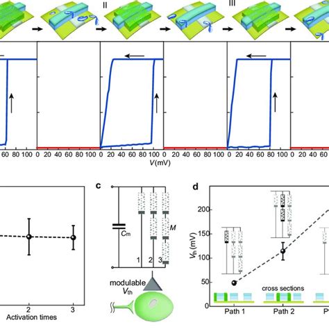 Reconfigurable Neuromorphic Interface A Top Schematics Of Three Download Scientific Diagram