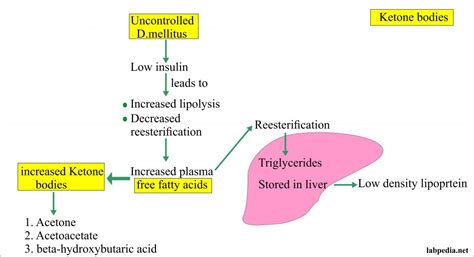 What Causes Diabetic Ketones At Harrison Fulton Blog