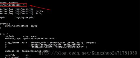 安装nginx优化与防盗链配置详解 Csdn博客