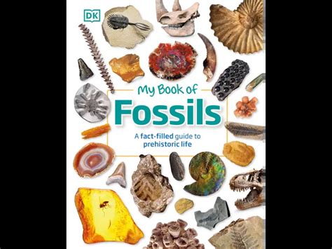 My Book Of Fossils Fossils Booklist Hands On Education