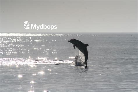 10 new functions for json columns in mysql 8 mydbops blog