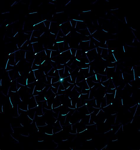 Building Digital Experiences Around Your Data Elsewhen