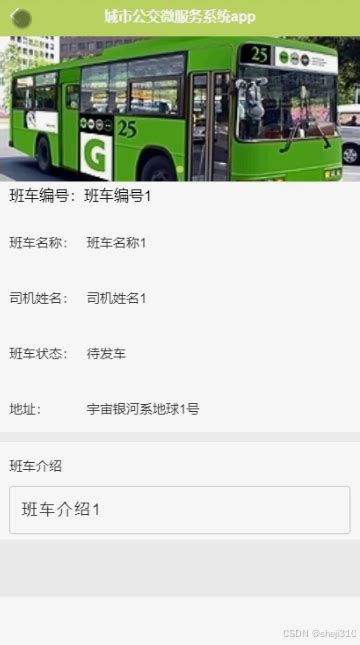 java vue计算机毕设城市公交微服务系统app【源码 开题 论文 程序】 csdn博客