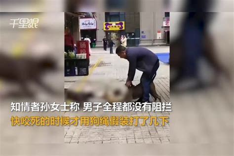 【贵州】男子带2只猎犬不栓绳活活咬死猫咪，知情者：很嚣张已报警，狗主人赔了1000元