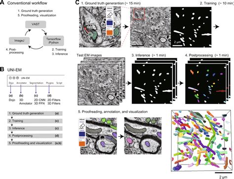 example workflow 1 mitochondria segmentation using 2d cnn a download scientific diagram