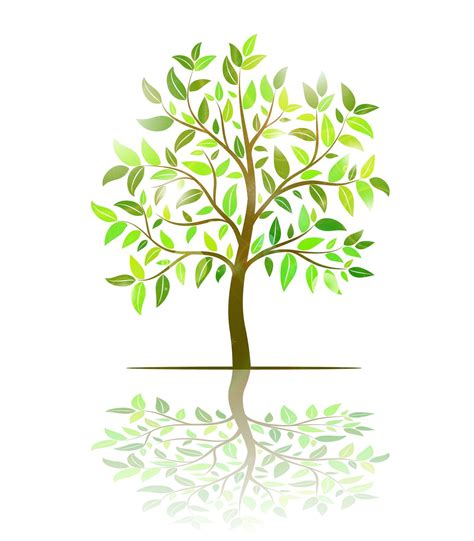 Premium Vector Tree With Green Leaves Vector