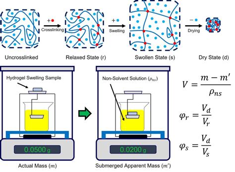 Swelling Hydrogel Design