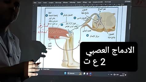 الادماج العصبي💯 الخصائص الادماجية للعصبون الحركي 2 ع ت Youtube