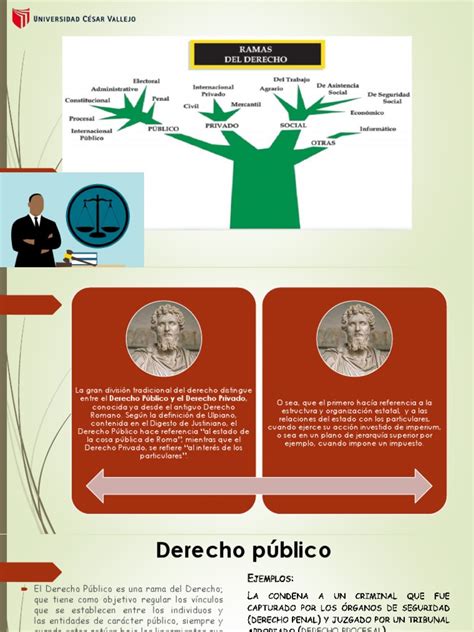 Sesion 4 Ramas Del Derecho Pdf Ley Pública Derecho Penal