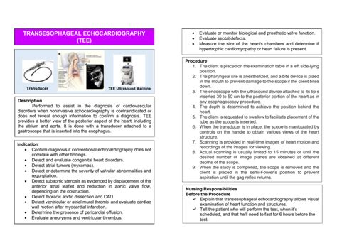 Tee And Tte Procedures Indications Steps Nursing Care