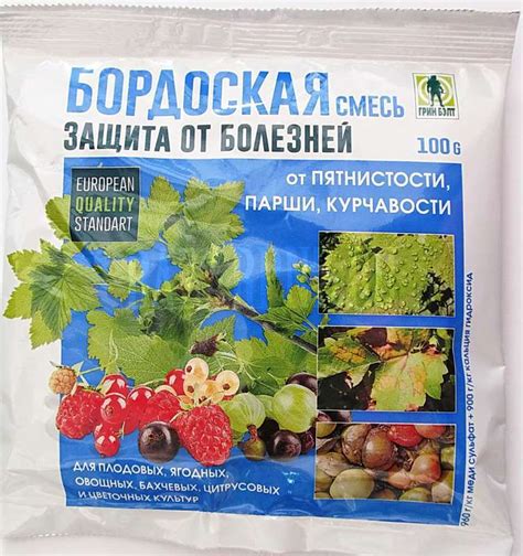 Бордоская смесь: как приготовить и как применять на огороде