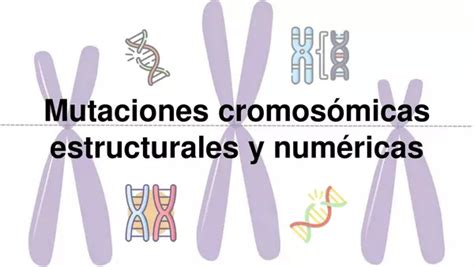 Mutaciones Cromosómicas Estructurales Y Numéricas Profesocial