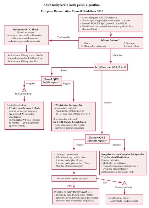 Adult Tachycardia With Pulse Algorithm Diagnosis Grepmed