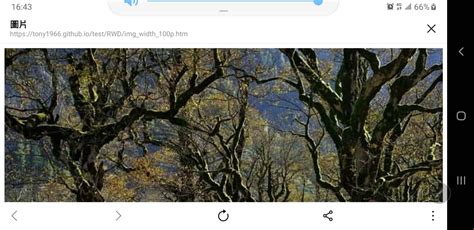 小狐狸事務所 Css 學習筆記 圖片的自適應寬度設定