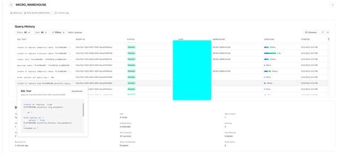 Adap 567 Bug `snowflakewarehouse` With Macro Where `configget