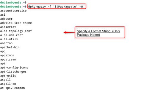 How To List Installed Packages On Debian 12 Linux Genie