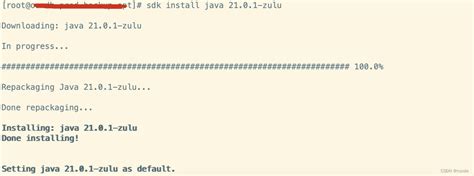 升级程序到java21的记录一（先升级jdk到21）jdk17升级21 Csdn博客