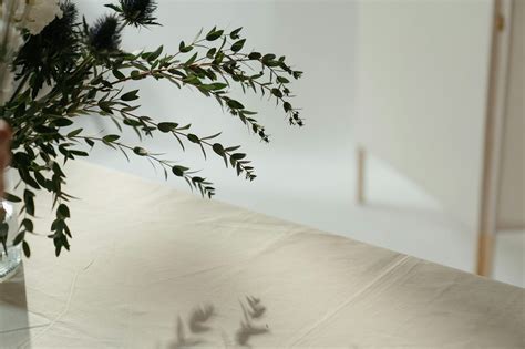 실내 Copy Space Datail 샷 가지 그림자 고요한 분위기 꽃 꽃 스타일링 꽃꽂이 꽃무늬 나뭇잎 녹지 단순한 우아함 디테일 린넨 식탁보