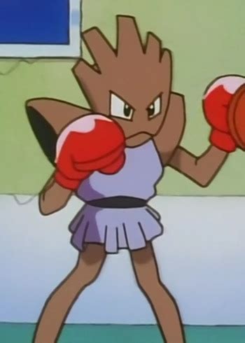 Hitmonchan Anime Planet