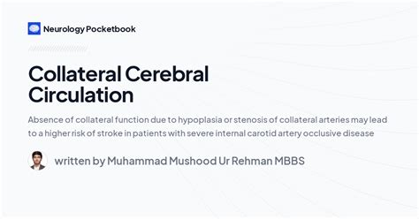 Collateral Cerebral Circulation