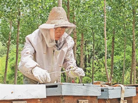 返乡养蜂被蛰成表情包，他还“决定不走了”，为啥？直播返乡新浪新闻