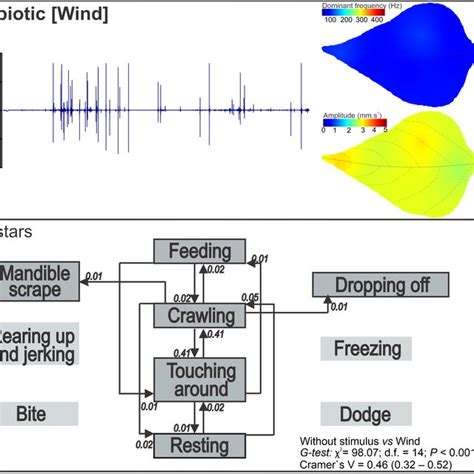 Waveforms And Spatial Distribution Of Dominant Frequency Top Right Download Scientific Diagram