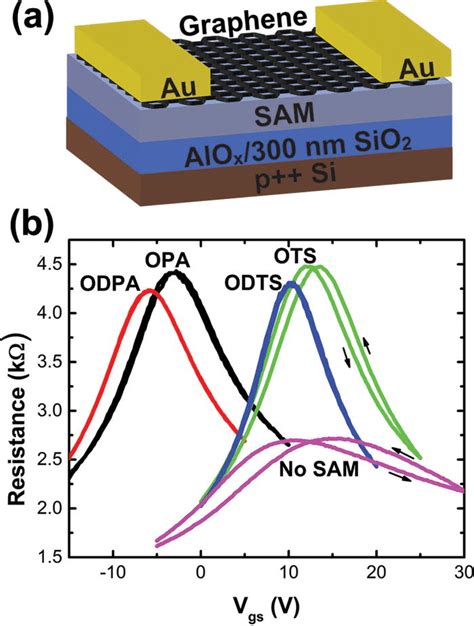 Graphene Transistor Example At Diane Forsythe Blog