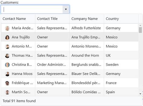 Fluent Theme Magic In Telerik Ui For Aspnet Core