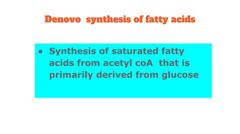 Solution Biosynthesis Of Fatty Acid Studypool