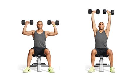 Тренировка грудь плечи комплекс упражнений для дома и зала