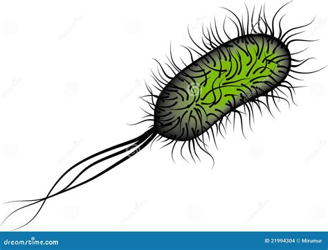 Ecoli Bacteria Cells 3d Illustration Royalty Free Cartoon 174494507