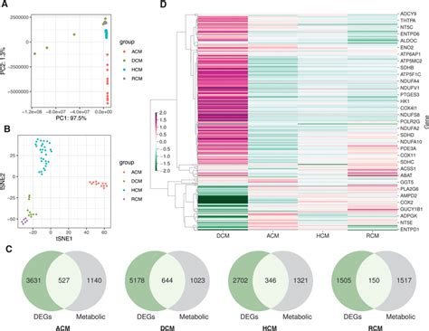 The Transcriptome Datasets In Primary Cardiomyopathies A Pca Plot Of Download Scientific