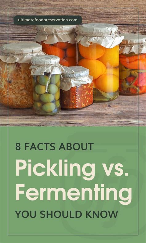 8 Facts About Pickling Vs Fermenting You Should Know In 2024