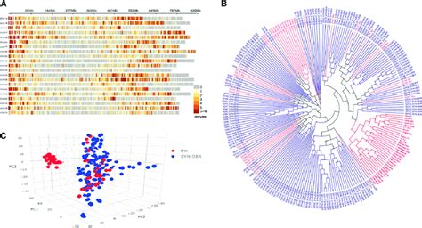 A Genome Wide Snp Marker Density On Each Bread Wheat Chromosome And