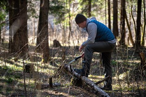 Photo Libre De Droit De Un Homme Scie Un Arbre Tombé Dans Les Bois Pour
