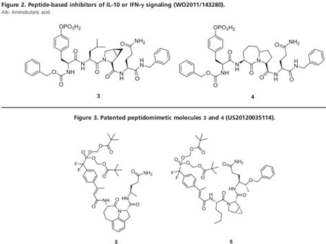The Discovery Process Of A Novel Stat6 Inhibitor