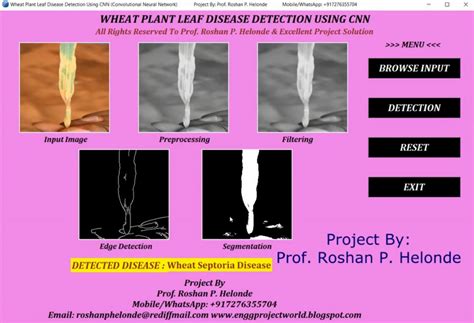 Wheat Leaf Disease Detection Using Image Processing Python Project With Source Code