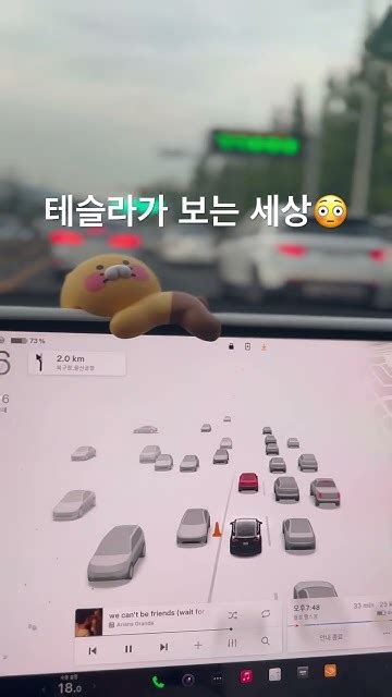테슬라가 보는 세상😳 테슬라 울산 Youtube