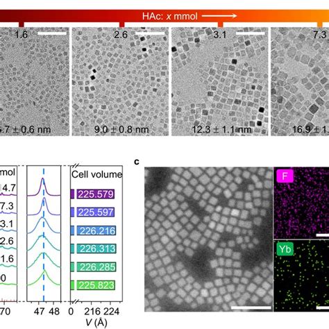 Morphological Structural And Compositional Characterization Of Download Scientific Diagram