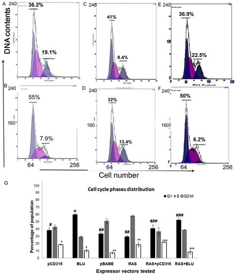 Alteration Of Cell Cycle Phase Distribution By Blu Cells Were