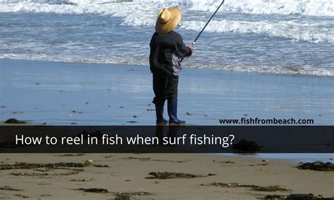 How To Master Surf Fishing Avoiding Snags With Expert Techniques
