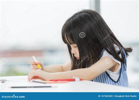 Asian Girl Draws Seriously Stock Image Image Of Hard 147565583