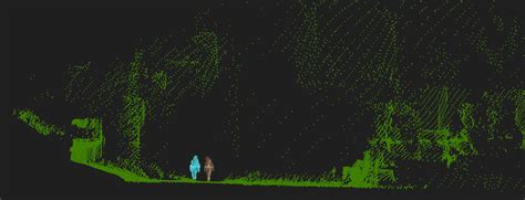 Pedestrian Classification