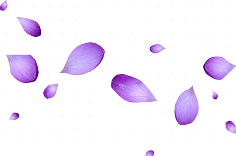 紫色花瓣png【免抠元素png】 90设计网